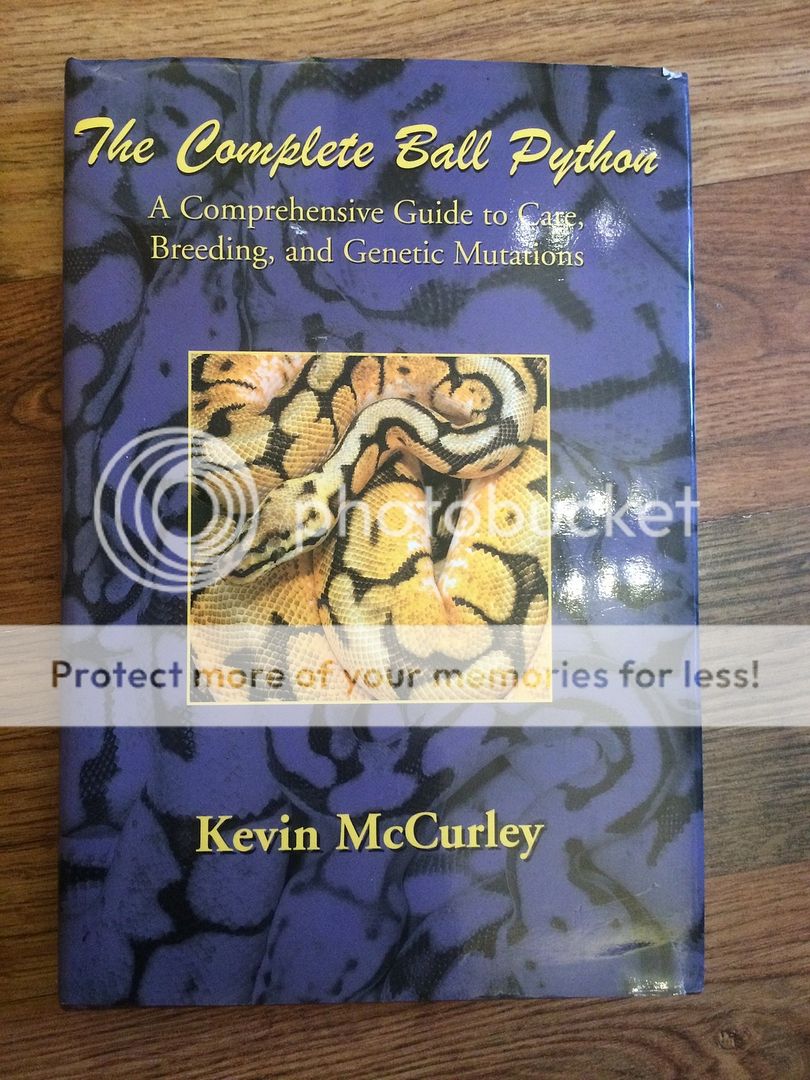 SE England - The complete ball python | Reptile Forums